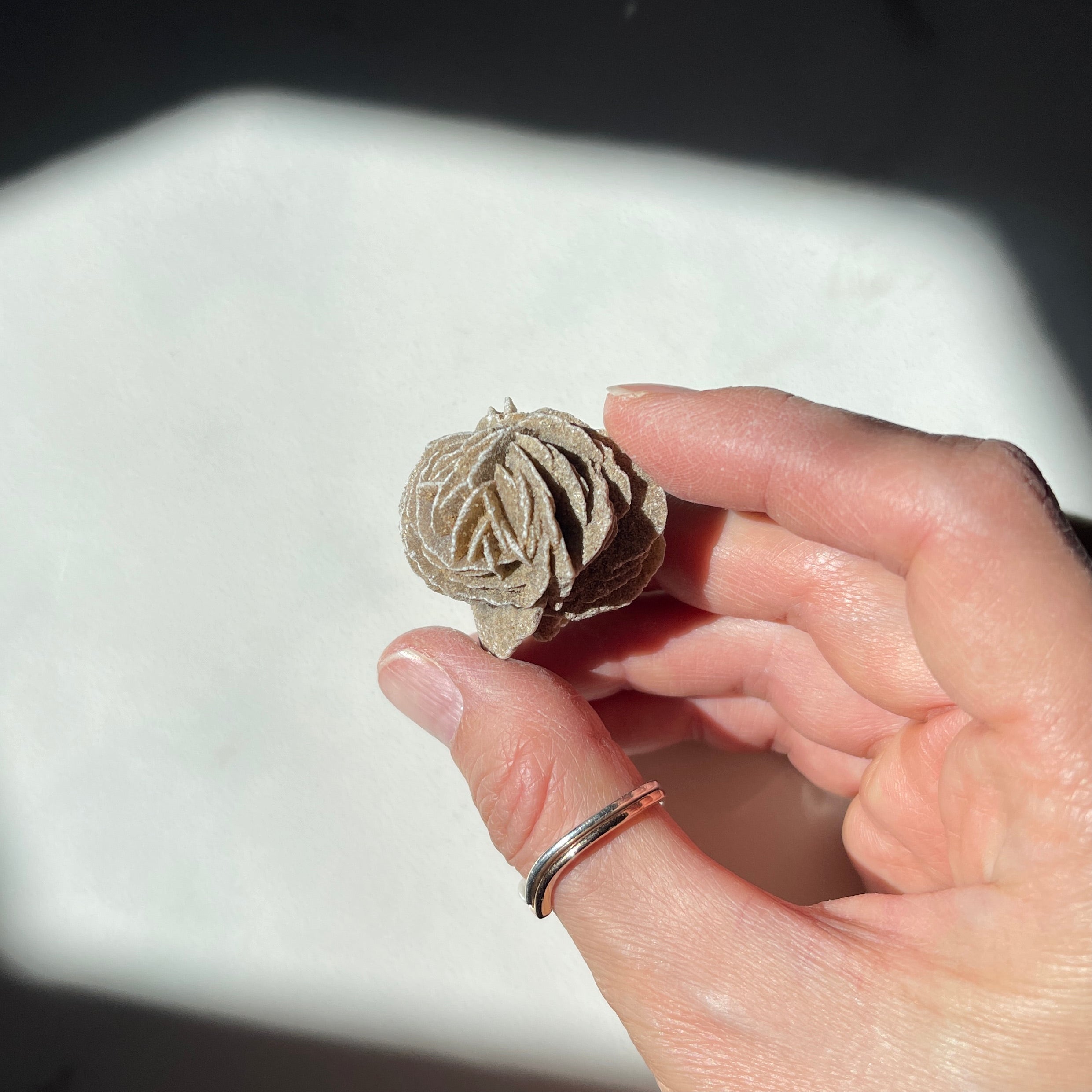 Mini Desert Rose – OOAKSTONES